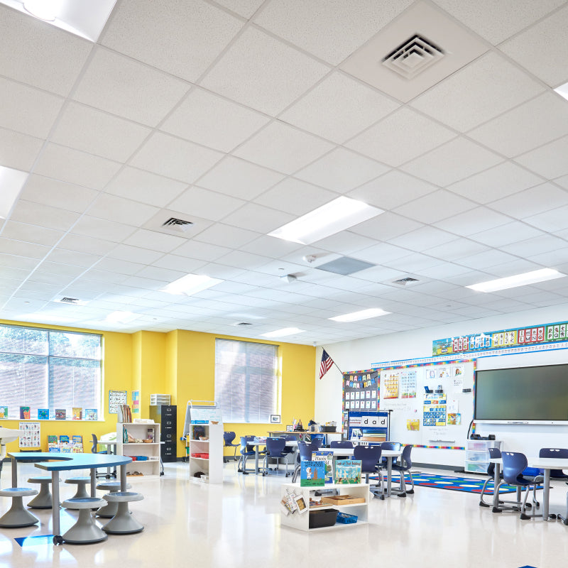 Buy SCHOOL ZONE FINE FISSURED Ceiling Tiles - 1713 | Kanopi by ...