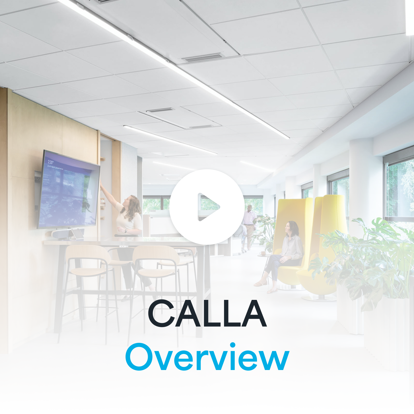 CALLA – Kanopi by Armstrong Canada