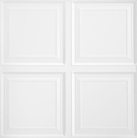 Shop 2’x2’ Ceiling Tiles | 24”x24” Ceiling Tiles | Kanopi by Armstrong